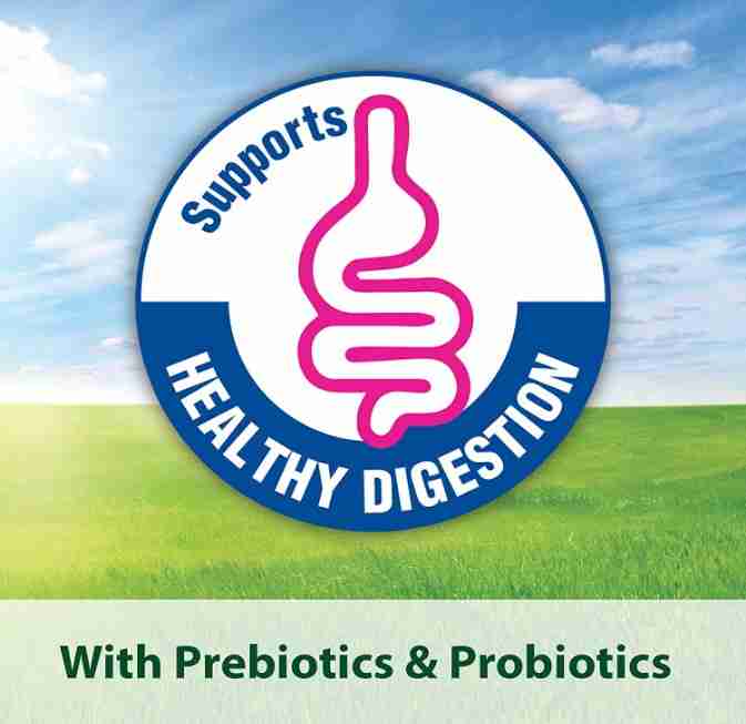 Kaytee Exact Hand Feeding Formula - Effective Pet Products